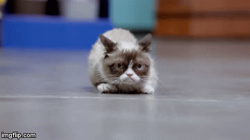 Image tagged in gifs,grumpy cat,shut up - Imgflip