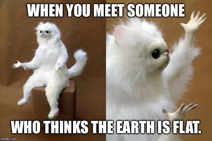 Persian Cat Room Guardian Meme - Imgflip
