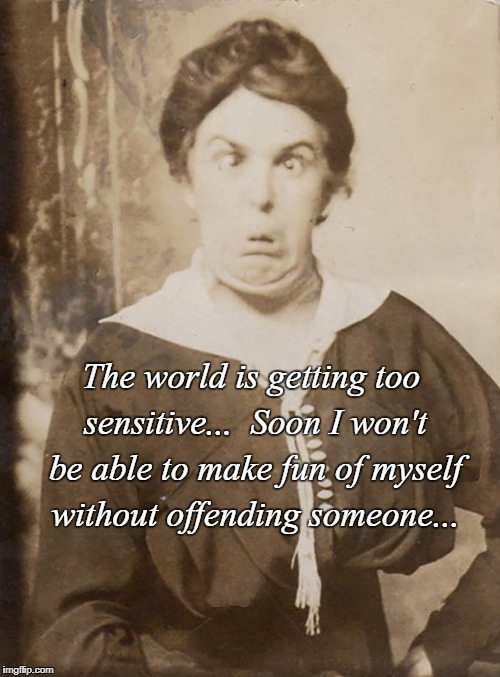 Too Sensitive Imgflip