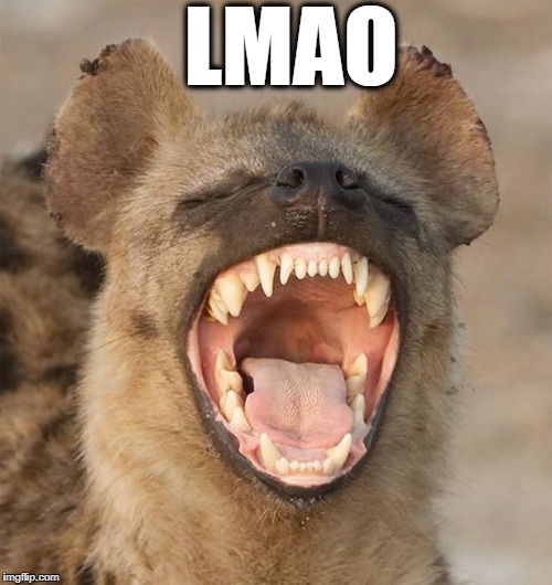 Good choice, Michelle! - Imgflip