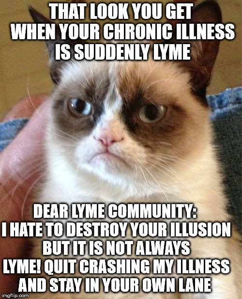 Grumpy Cat Meme - Imgflip