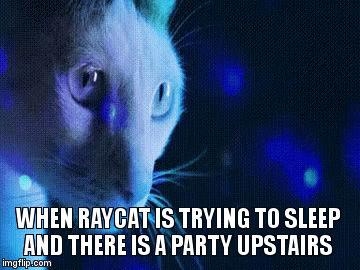 RayCat is not amused - Imgflip