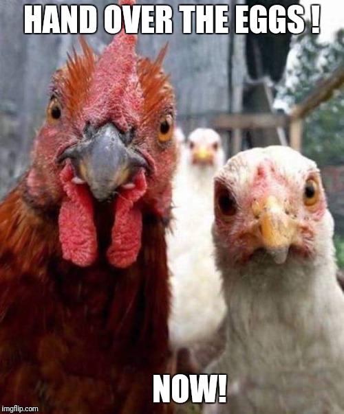 Hand Over The Eggs Now Imgflip Hand Over The Eggs Now Imgflip