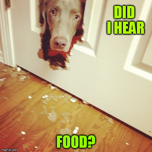 Hungry person - Imgflip