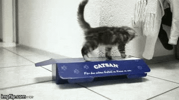 Just Keep Trying... - Imgflip