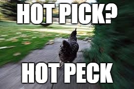 Running Chicken - Imgflip