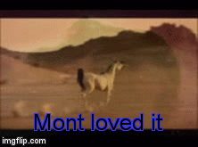 Animated GIF - Imgflip