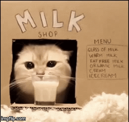 The Milk Shop - Imgflip