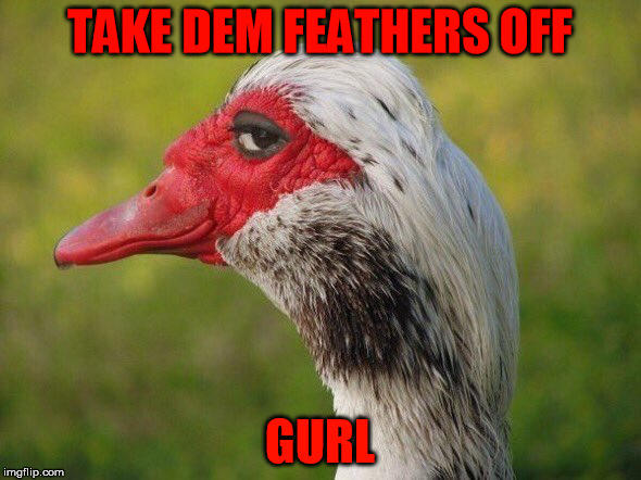 This means you. - Imgflip