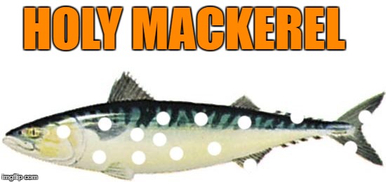 You can tune a piano AND you can tuna fish!!! - Imgflip