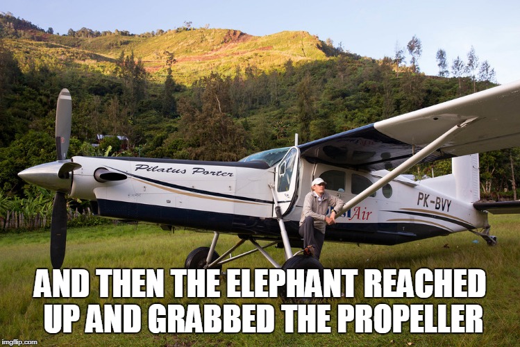 soon the Human Fly just looked swatted - Imgflip