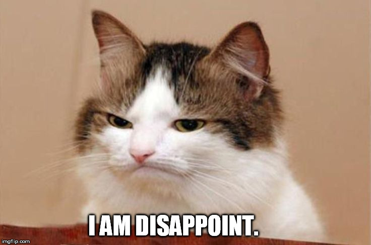 Leave the Disappointing to Me! - Imgflip