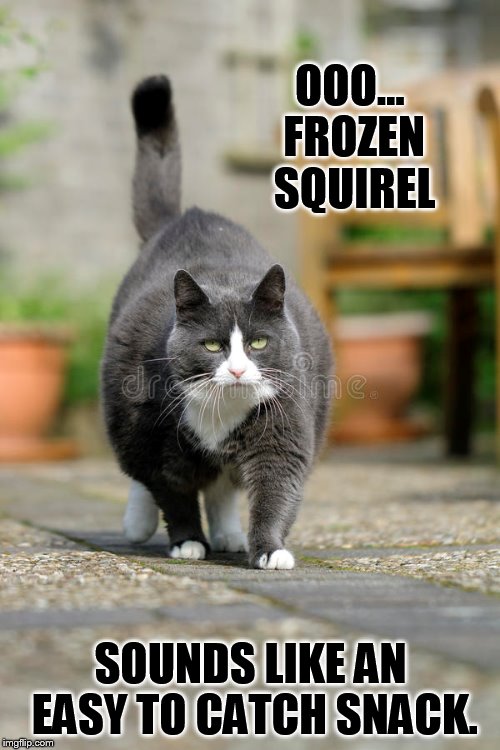 Fat Cat Squeeze - Imgflip