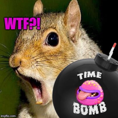 Fat Cat Squeeze - Imgflip