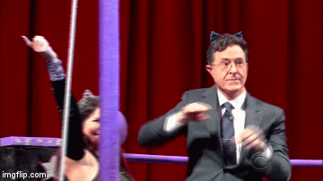 Colbert Cat Ears - Imgflip
