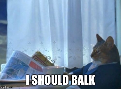 I Should Buy A Boat Cat Meme - Imgflip