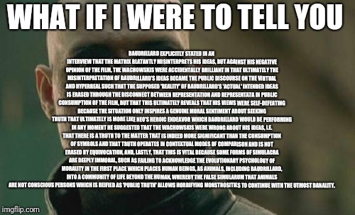 Baudrillard Memes BAUDRILLARDIAN MEME VALUE : SEASON TWO Alex Mazey