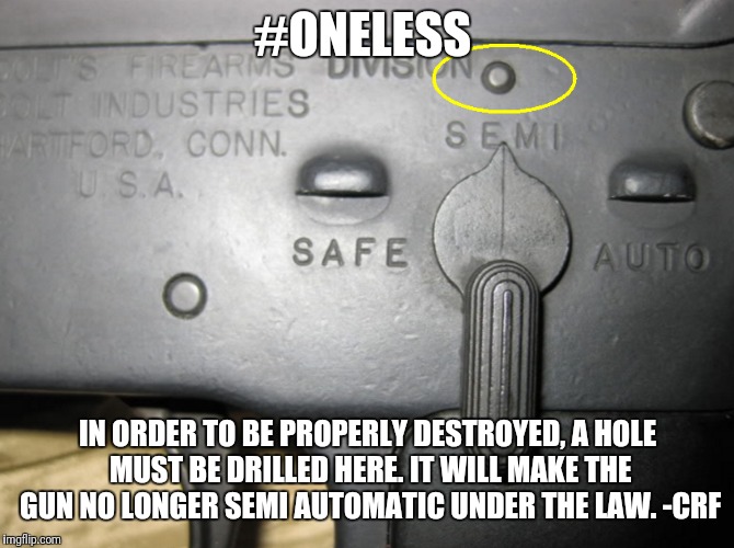 ATF Investigating congressional candidate after she cut down AR-15 ...