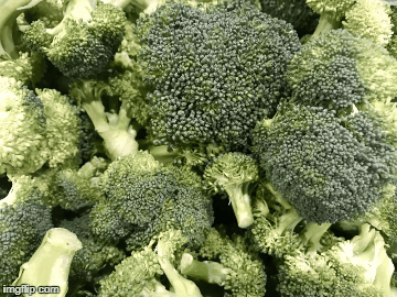 broccoli - Imgflip