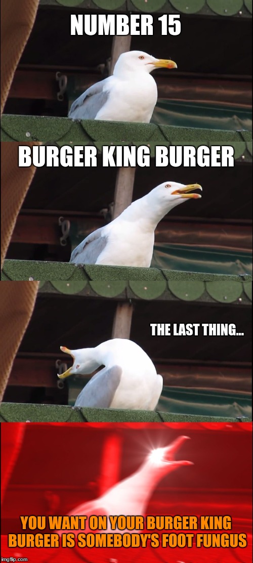 Burger King Memes GIFs Imgflip
