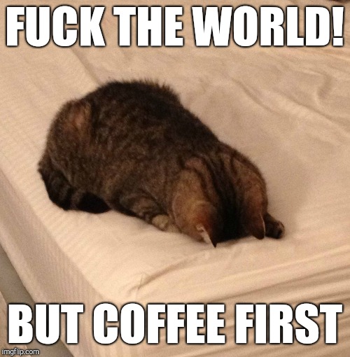 Monday Morning Me & My Cat Be Like: - Imgflip