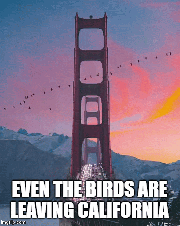 leaving California is not only for the birds - Imgflip
