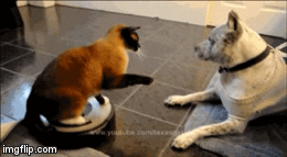 The Roomba Makes It So Easy. - Imgflip