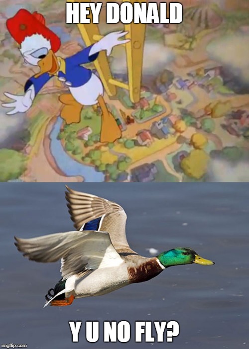 Disney logic: - Imgflip