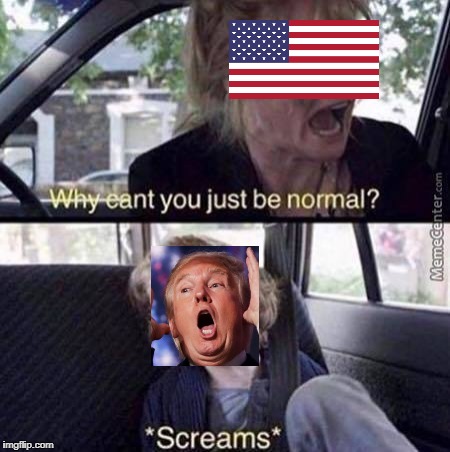 Why Can't You Just Be Normal - Imgflip