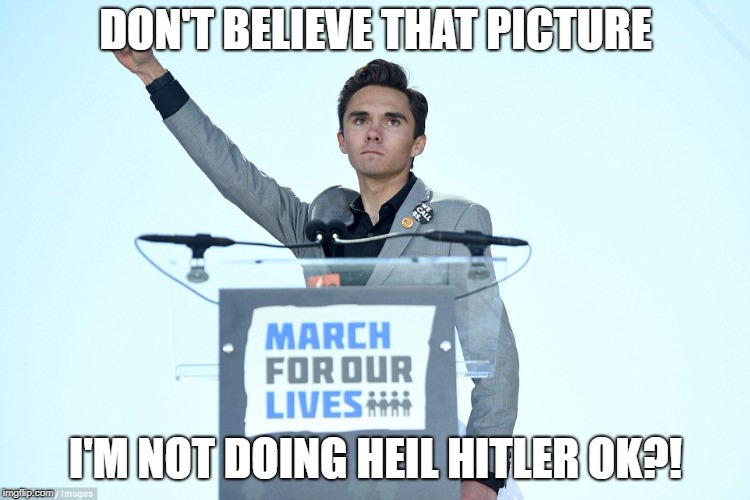 Heil David Hogg - Imgflip