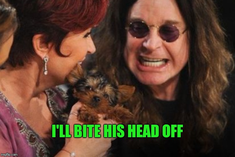 Dead memes week! A thecoffeemaster and SilicaSandwhich event! (March 23 ...