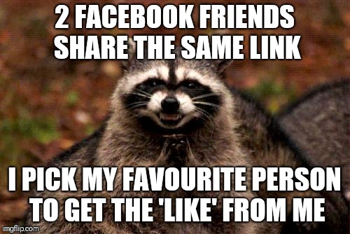 Evil Plotting Raccoon Meme - Imgflip