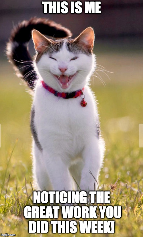 Happy Cat Imgflip Happy Cat Imgflip