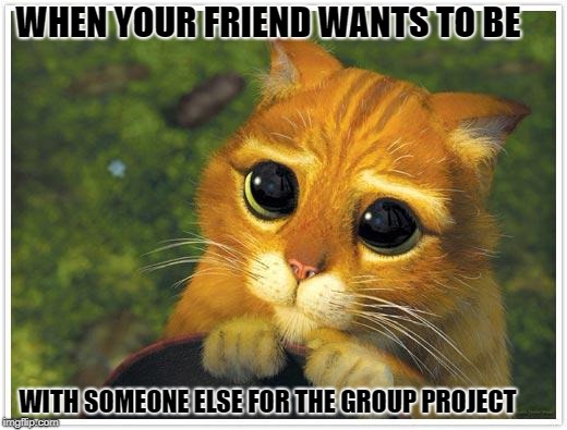 Shrek Cat Meme - Imgflip