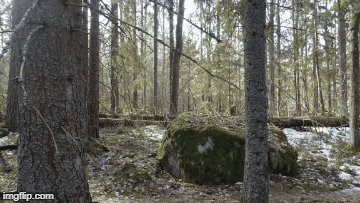 Animated GIF - Imgflip