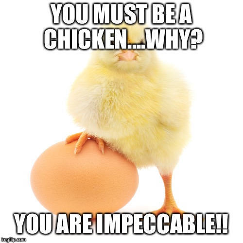 Image tagged in chicken - Imgflip