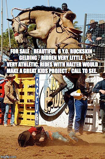 Nfr Memes Send Memes Not Nudes: Wide Ruled Composition Notebook : Ink,