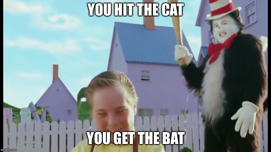 CAt In THe HAt Imgflip