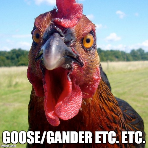 I don't expect most of you to get this... (Chicken Week, April 2nd-8th ...