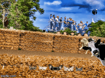 Who knew toddler sheep riding was a thing...? - Imgflip