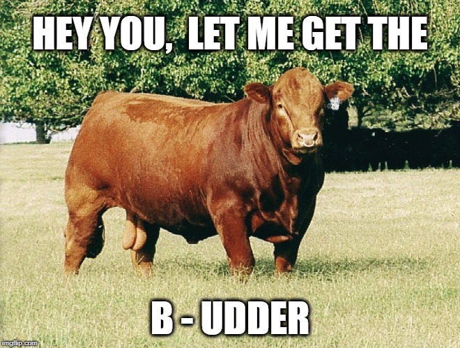 No worries - Imgflip