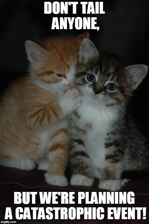 The Fur is Flying - Imgflip