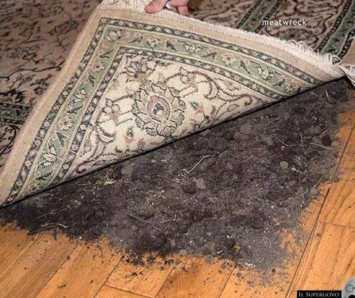 Under the rug Blank Template - Imgflip