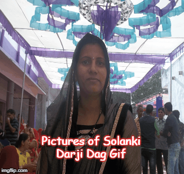 Darji people dag pictures - Imgflip