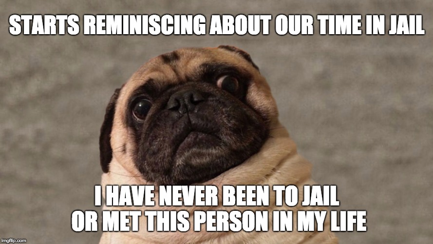 Perplexed Pug - Imgflip