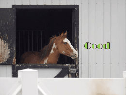 Good Golly Miss Molly - Imgflip