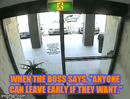 It's Friday, lets go home! - Imgflip