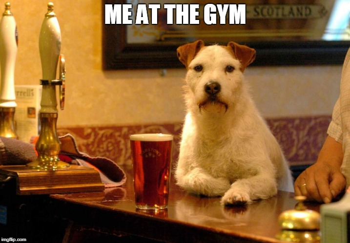 Dog Gym Memes