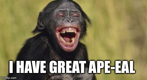 I don't know why. - Imgflip