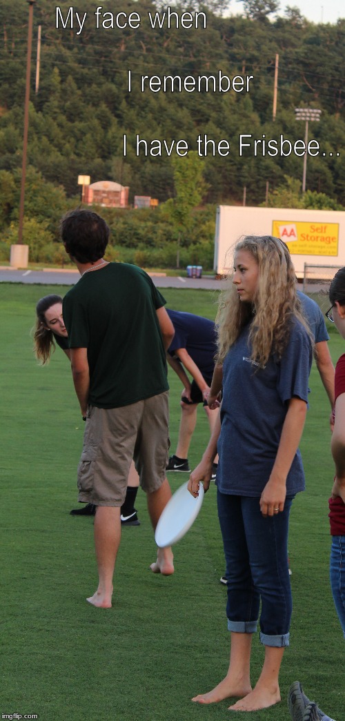 Frisbee Dog Memes